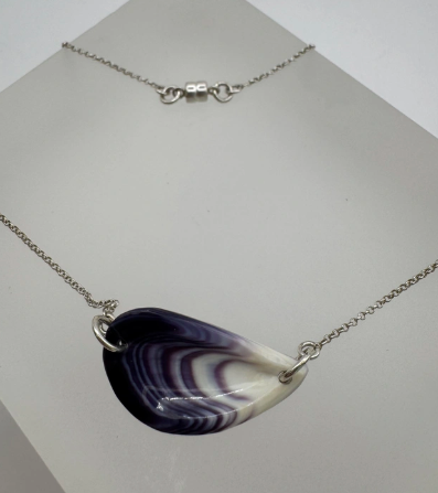 Curved Mussel Shell with Silver Chain | Marcia Poirier Shell Carver